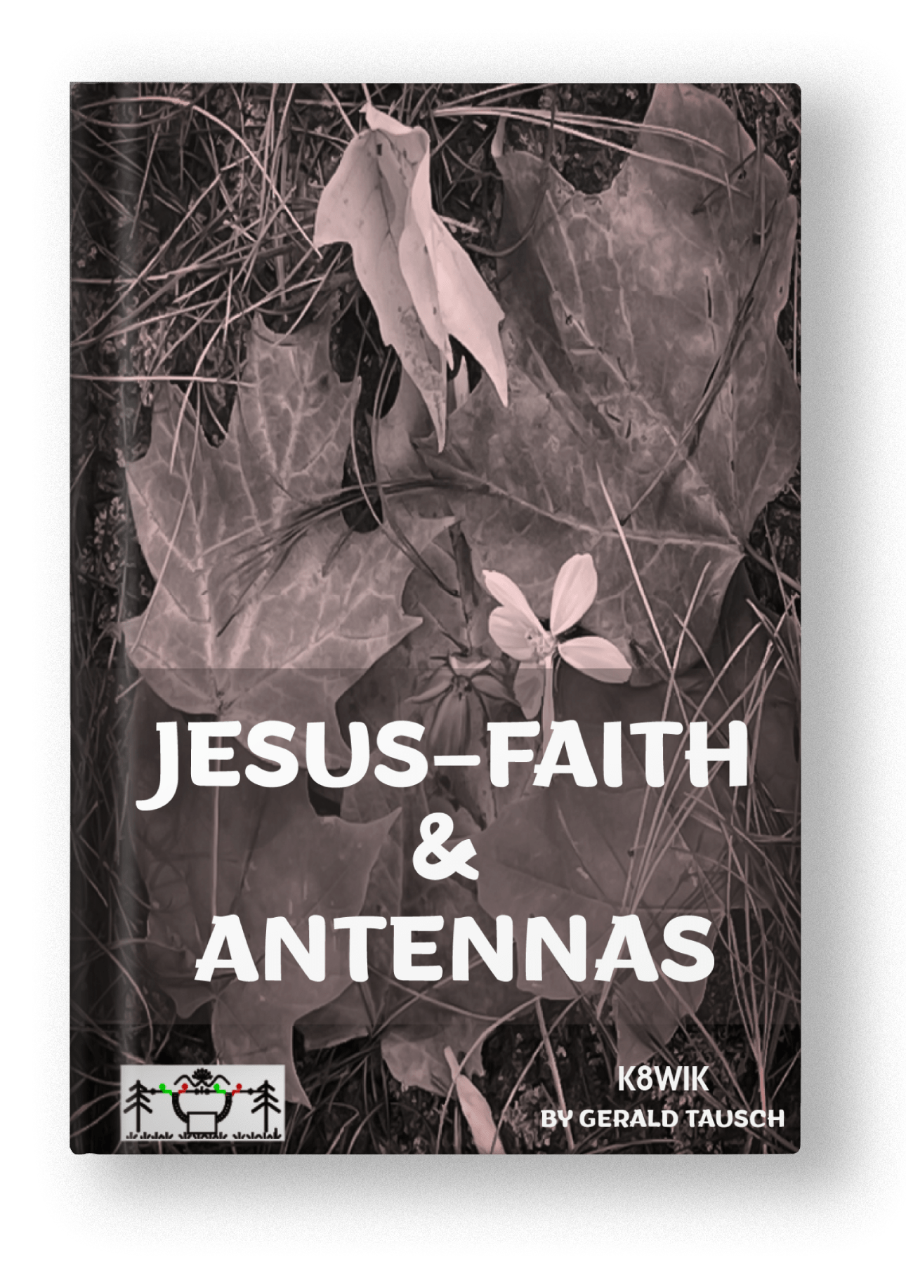 Jesus, Faith, and Antennas Book by Gerald Tausch